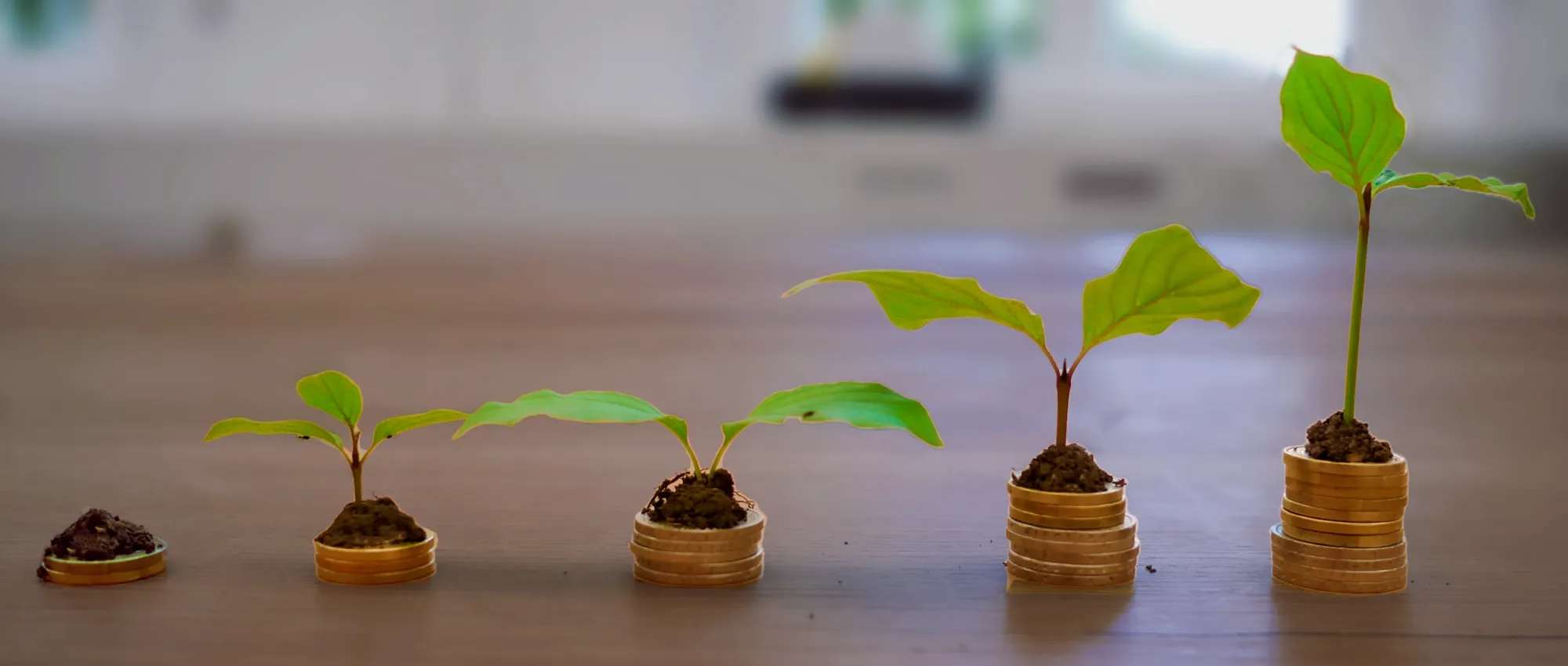 10 Corporate Venture Program Examples You Should Know About